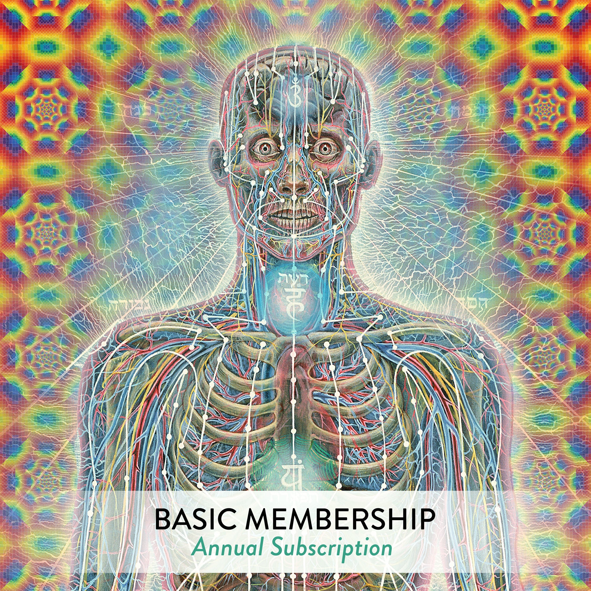 Basic Membership - Annual – CoSM Shop