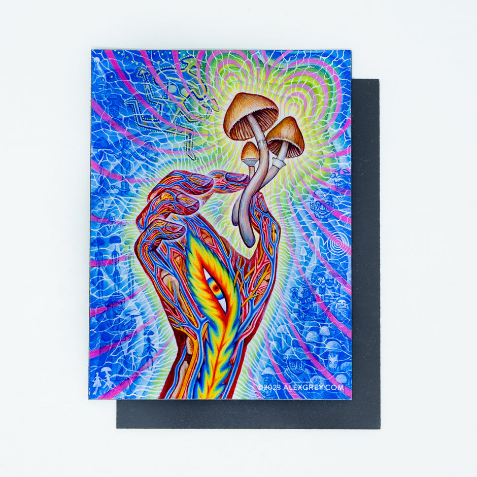 Magnets – CoSM Shop