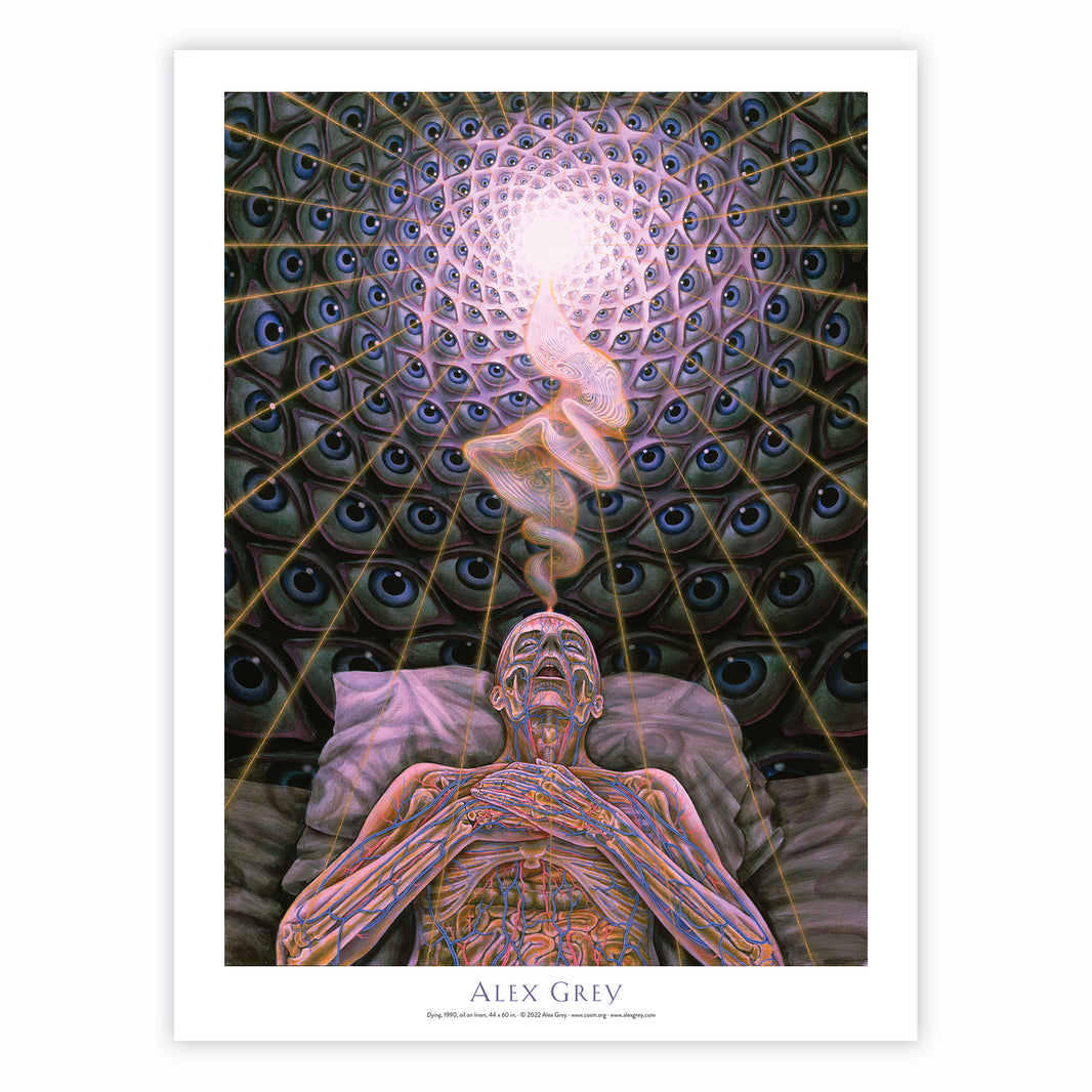 Artwork – CoSM Shop