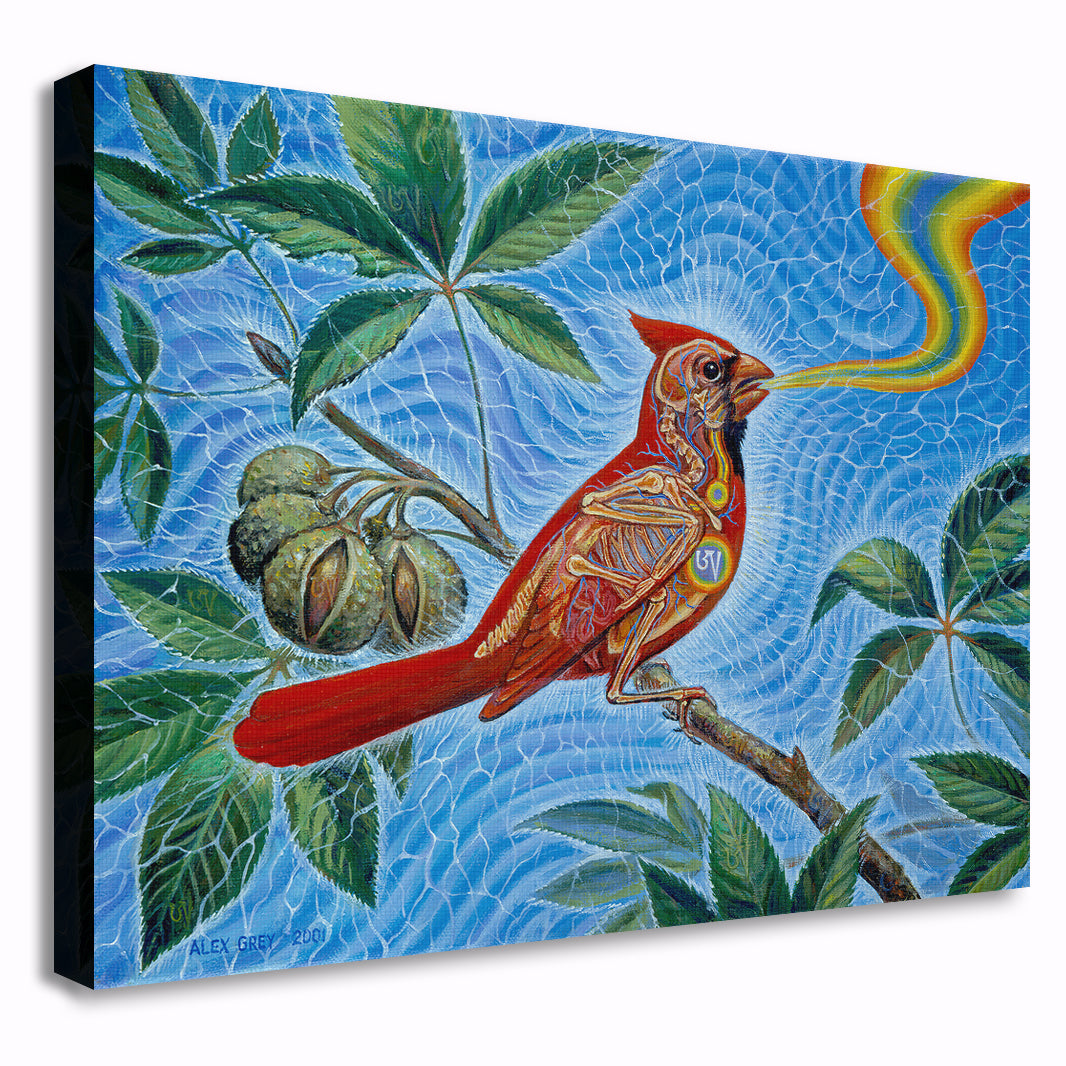 Ohio Song - Canvas Print – CoSM Shop