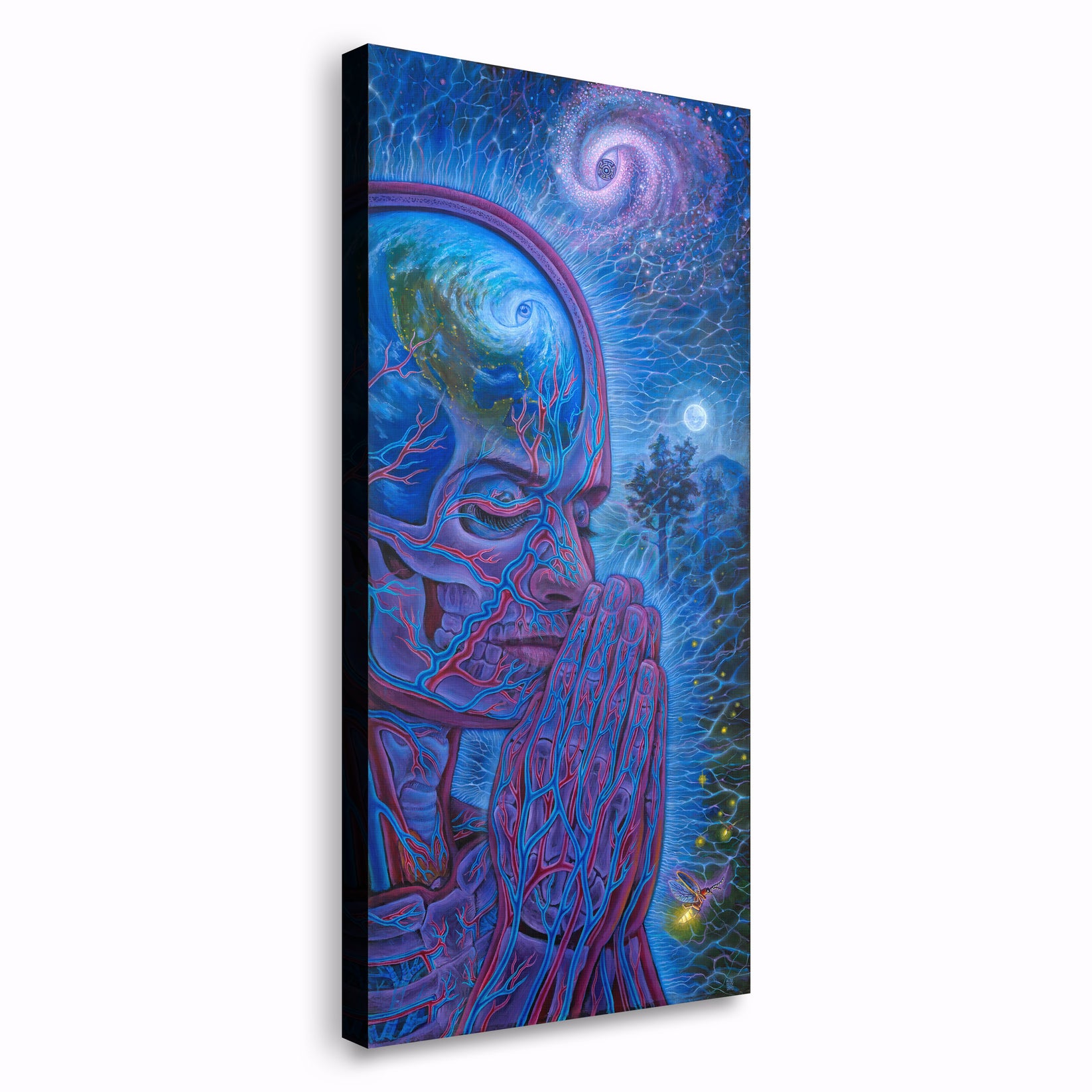 Planetary Prayers - Canvas Print – CoSM Shop