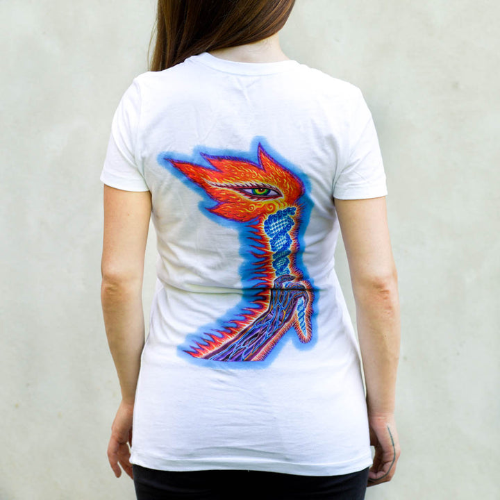 CoSM Collection – CoSM Shop