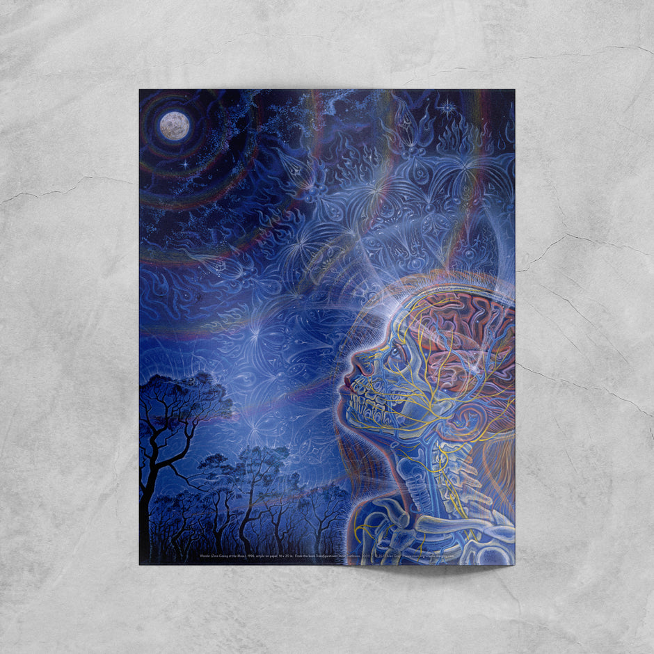 Alex Grey – CoSM Shop