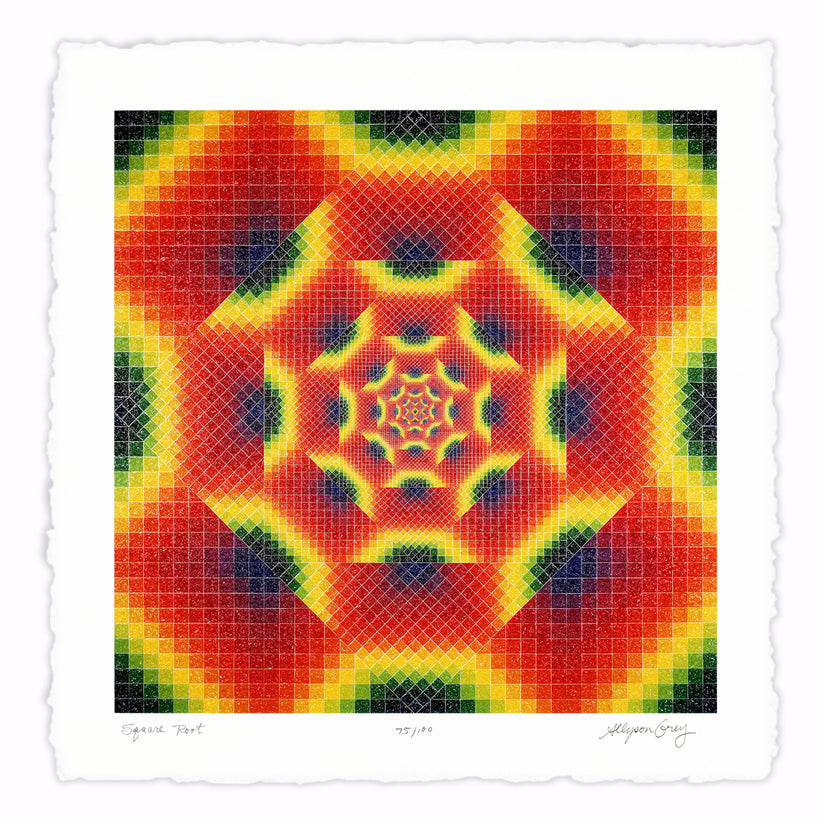 Square Root - Paper Print – CoSM Shop